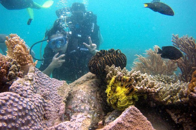 Private Guided Tour Scuba Diving At Marine Protected Area Included Lunch - Analyzing the Value