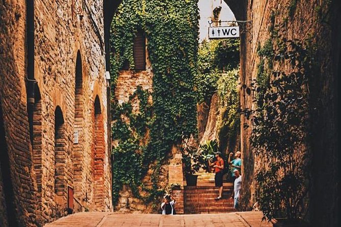 Private Guided Tour: Siena, San Gimignano and Chianti Day Trip From Florence - Guided Insights Into Tuscan History