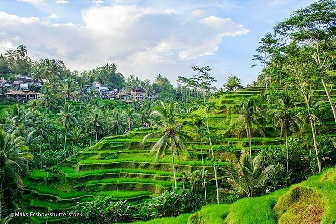 Private Guided Tour: The Best Of Ubud With Jungle Swing - FAQ