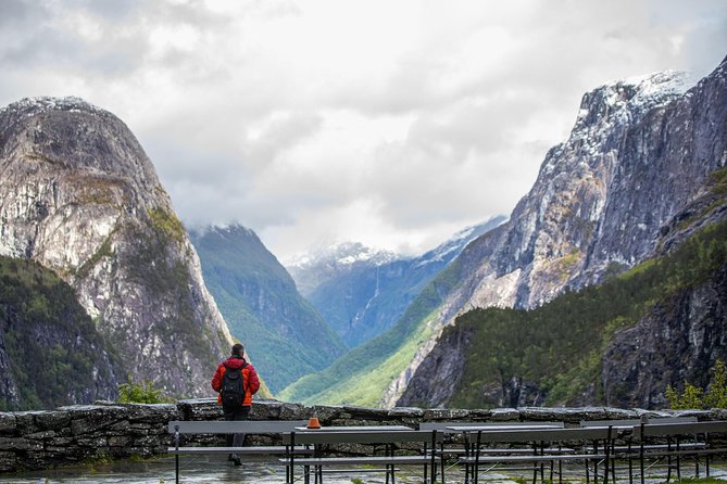 PRIVATE GUIDED TOUR: The Heart of Norway  Viking Special, 8-9 hours  WINTER - Who Is This Tour Best For?