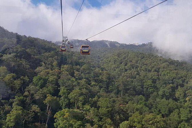 Private Guided Tour to GOLDEN BRIDGE BA NA HILLS from TIEN SA or CHAN MAY Port - What You Can Expect at Each Stop