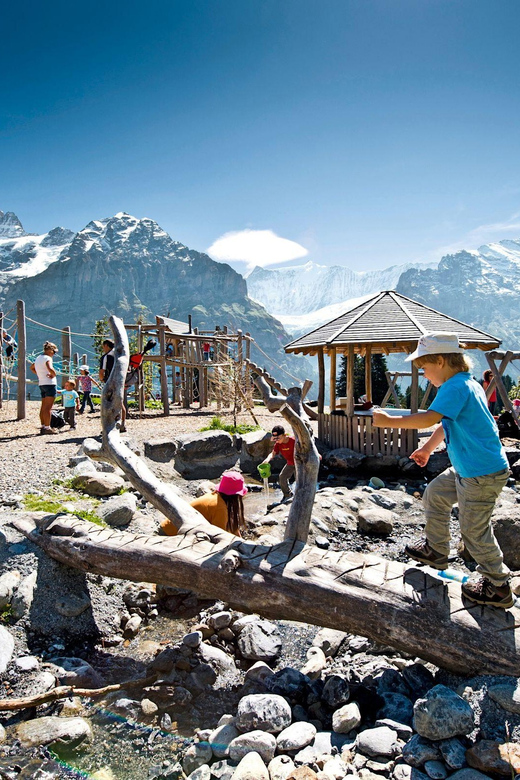 Private Guided Tour to Grindelwald First From Zurich - Hiking and Adventure Activities