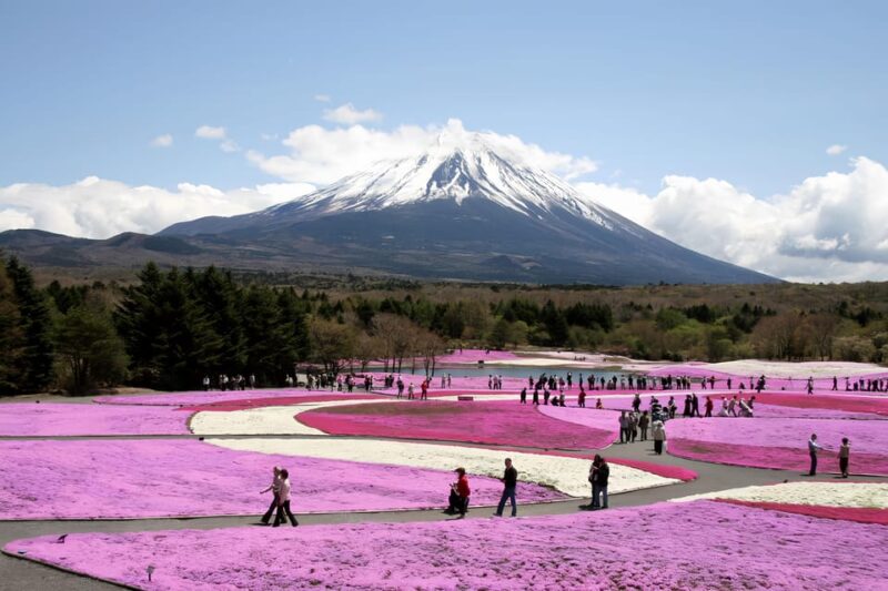 Private Guided Tour To Mount Fuji With Roundtrip Transfer. - Customization and Experience