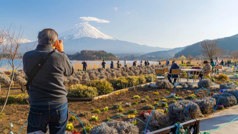 Private Guided Tour To Mount Fuji With Roundtrip Transfer. - Discovering Oshino Hakkai Springs