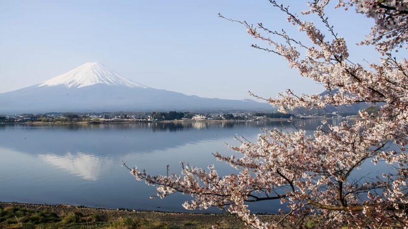 Private Guided Tour To Mount Fuji With Roundtrip Transfer. - Strolling Around Lake Kawaguchi