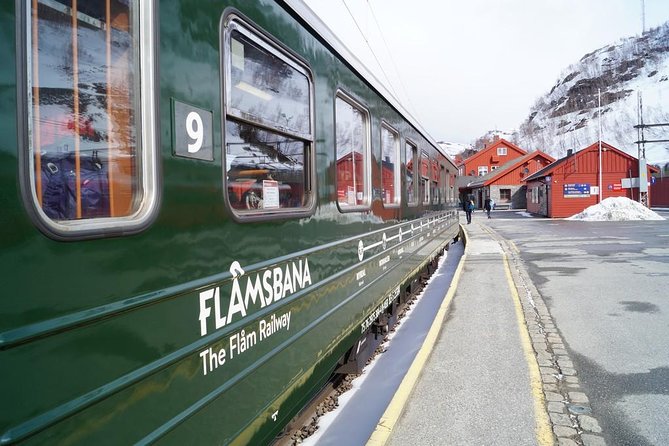 Private guided tour to Oslo - Nærøyfjord Cruise & Flåm Railway - The Sum Up