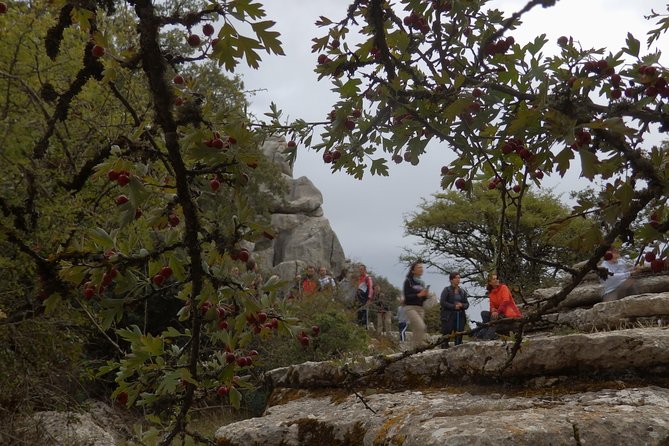 Private Guided Tour to Torcal De Antequera - Exploring the Unspoiled Landscapes of El Torcal Nature Reserve
