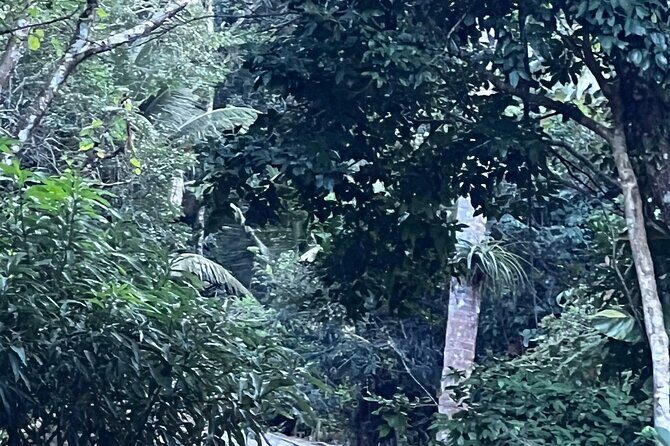 Private Guided Tours in Rio las Pailas - What’s Included and What to Expect