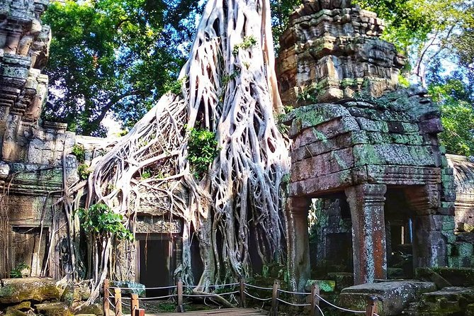 Private Guided Tours-Sunrise Angkor Wat, Ta Prohm, Bayon and more - FAQ