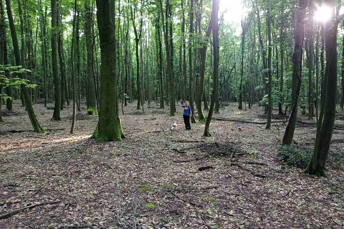 Private Guided Truffle Hunting Tour in Serbia with Lunch - Final Thoughts