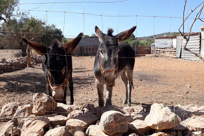 Private-Guided Tuk Tuk Country Side Tour - The Story Behind Piri Piri Chicken