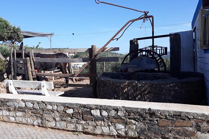 Private-Guided Tuk Tuk Country Side Tour - Safety and Convenience: Whats Included