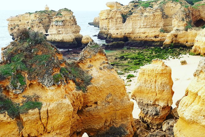 Private Guided Tuk-Tuk Tour With Pick-Up and Drop-Off of Albufeira - Pricing and Booking