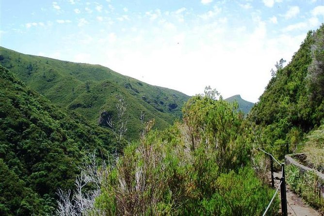 Private Guided Walk Levada 25 Fontes - What to Expect on Your Guided Tour