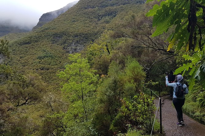 Private Guided Walk Levada 25 Fontes - Experience Highlights