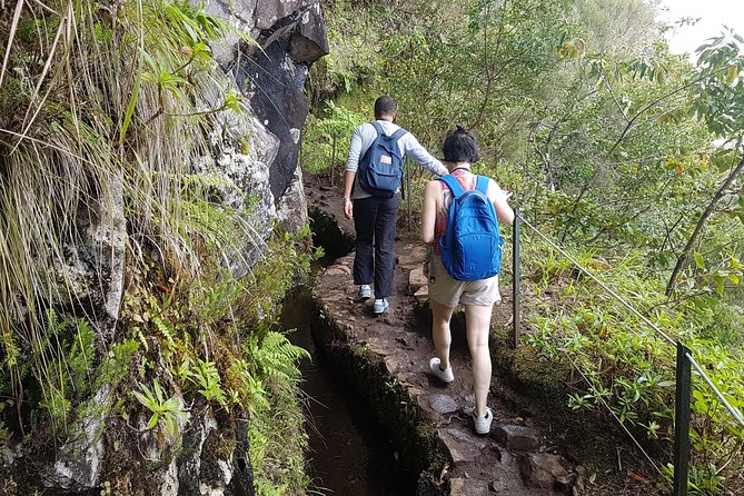 Private Guided Walk Levada Caldeirao Verde - Highlights and Must-See Spots Along the Trail