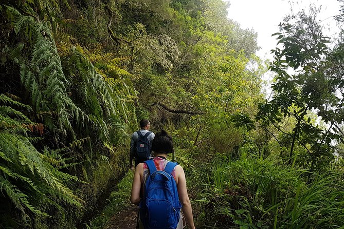 Private Guided Walk Levada Caldeirao Verde - The Logistics: Pickup, Transportation, and Safety