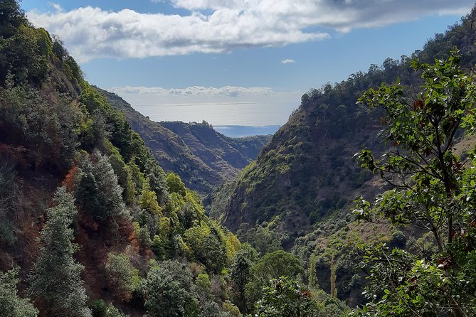 Private Guided Walk Ponta do Sol Levada Moinho - Who Will Love This Tour?