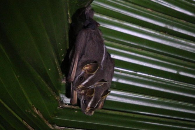 Private Guided Walking Tour in Hacienda Baru - Meeting and Pickup Information