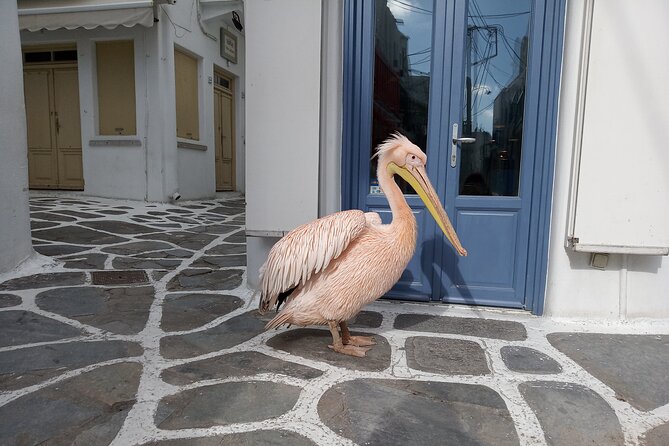 Private Guided Walking Tour in Mykonos Town - Key Points