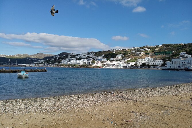 Private Guided Walking Tour in Mykonos Town - The Guide: A Key to the Experience