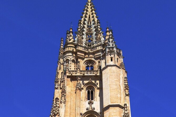 Private Guided Walking Tour of Oviedo Old Town - What Makes This Tour Stand Out?