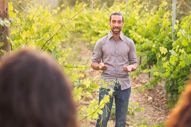 Private Guided Wine Tasting with Tour of the Vineyards in Vieste - Why This Tour Excels
