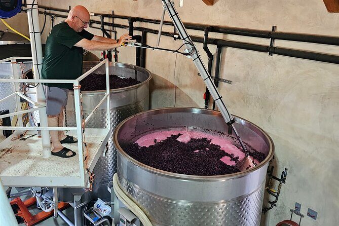 Private Guided Wine Tour of Napa Valley - Why Choose This Napa Valley Private Wine Tour?