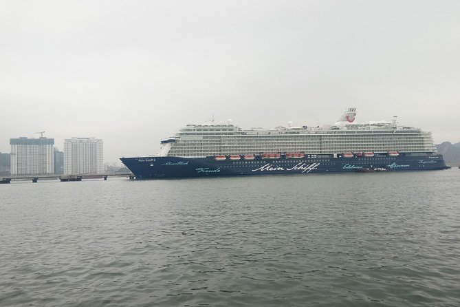 Private Ha Long bay day trip(From Hanoi city or Halong harbour) - Who Will Love This Tour?