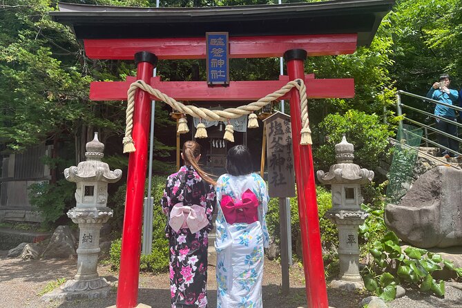Private Hakone Kimono Costume Photo Tour With Hotel Pick-Up - Customizing Your Hakone Experience