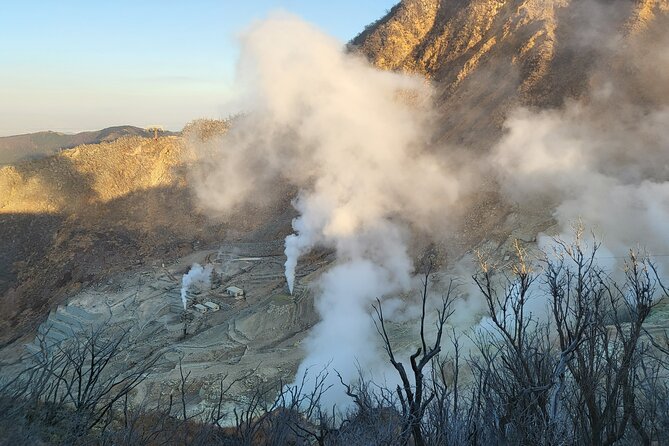Private Hakone Tour From Tokyo - Key Points