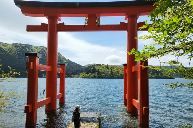 Private Hakone Tour From Tokyo - Inclusions
