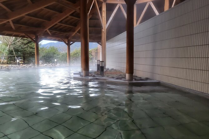 Private Hakone Tour From Tokyo - Schedule