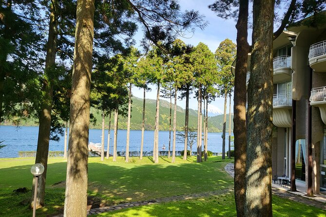 Private Hakone Tour From Tokyo - Why Choose This Tour