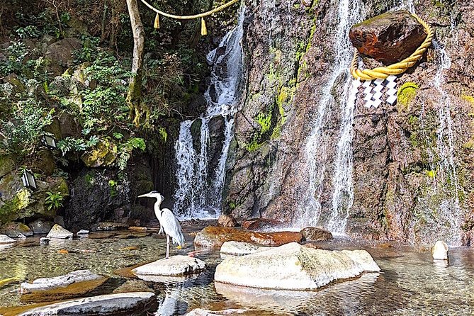 Private Hakone Tour - View of Mt. Fuji, Nature and Culture - Taking in Hakones Rich Culture