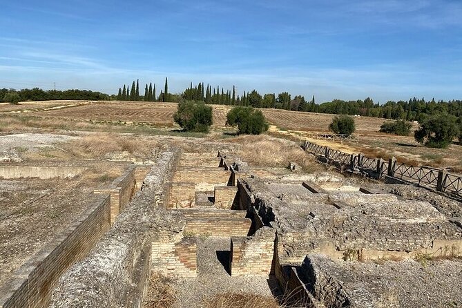 Private Hald Day Tour to the Historic Roman City of Italica - Tips for a Smooth Tour Experience