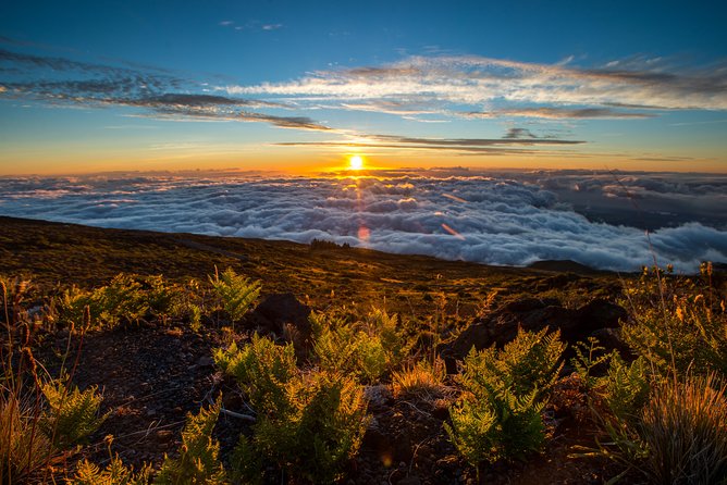 Private Haleakala Summit & Stroll from Kahului - The Value of the Tour