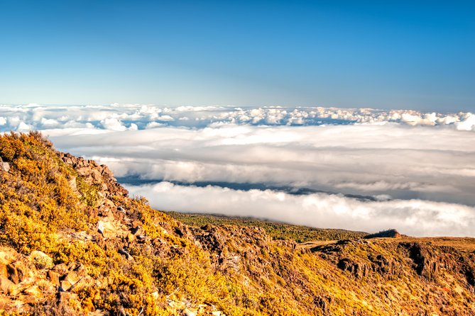 Private Haleakala Summit & Stroll from Kahului - Who Will Love This Tour?