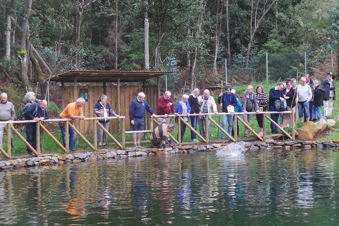 Private Half-Day 4X4 Experience: East or West - Personalized Exploration With a Private Guide