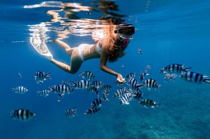 Private Half Day Afternoon Snorkel and Cruise on Serendipity - Frequently Asked Questions