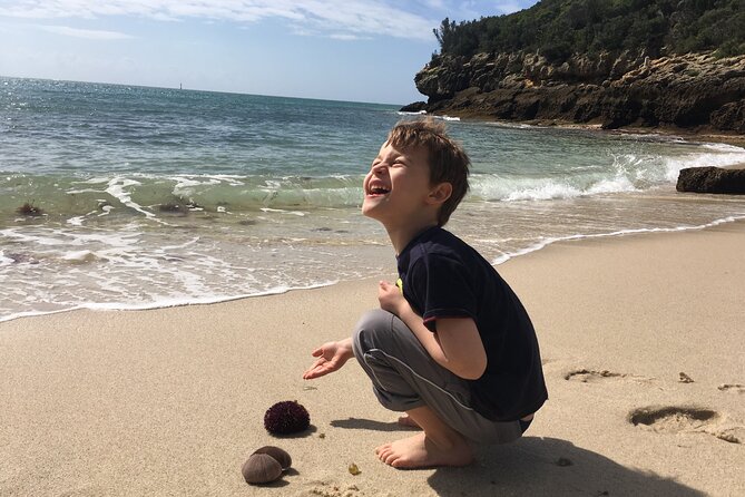 Private Half Day Arrabida Tour With Wine Tasting in Sesimbra - Customer Experiences and Reviews