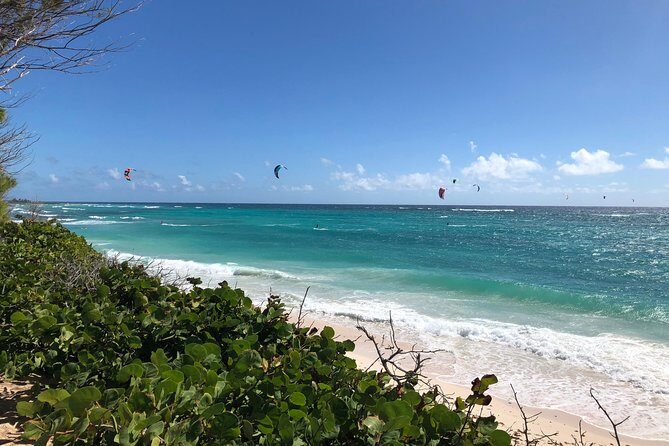 Private Half-Day Barbados Excursion - An In-Depth Look at the Private Barbados Tour