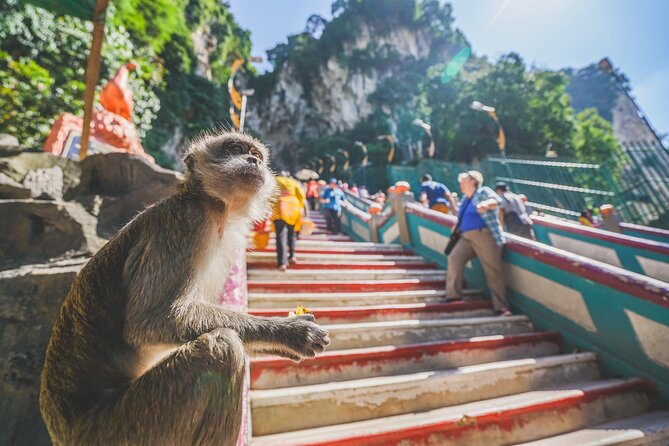 Private Half-Day Batu Caves and Cutural Tour in Kuala Lumpur - Practical Tips for Travelers