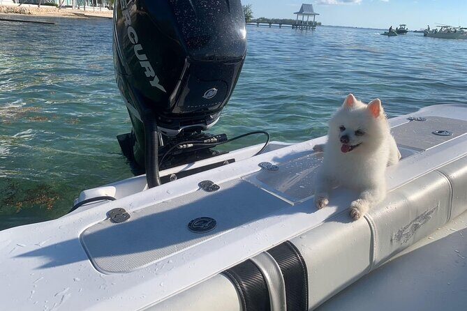 Private Half Day Boat Tour, 3 locations of your choice - FAQ