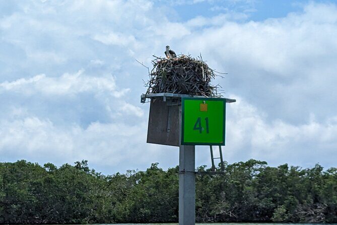 Private Half Day Boat Tour in Sarasota, Florida - Exploring Sarasota by Boat: What to Expect