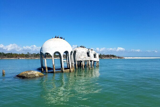 Private Half-Day Charter Tour in Naples, Florida - Key Points