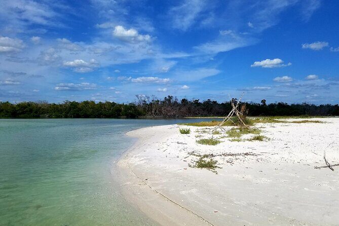 Private Half-Day Charter Tour in Naples, Florida - The Sum Up