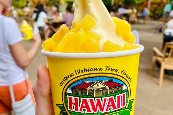Private Half-Day Circle Island Highlights Tour in Oahu - A Practical Look at the Private Half-Day Circle Island Highlights Tour in Oahu