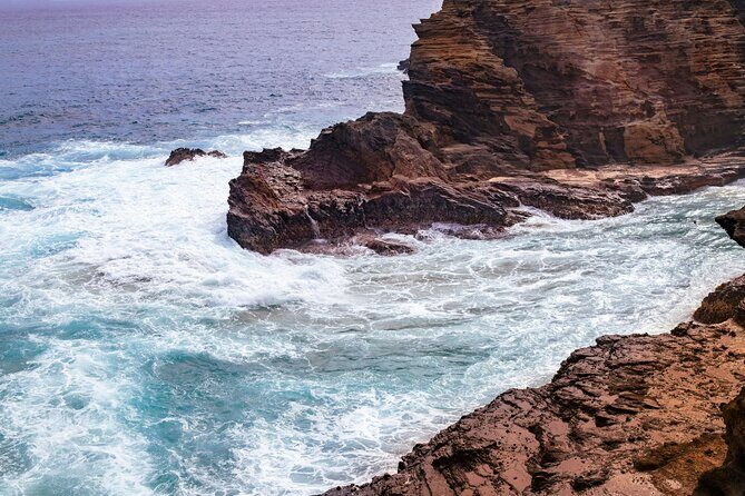 Private Half-Day Circle Island Highlights Tour in Oahu - Who Will Love This Tour?