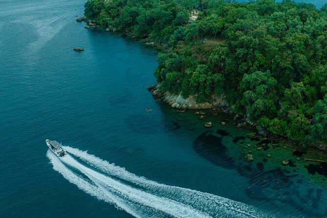 Private Half Day Cruise on a Speed Boat in Mallorca - Participation Details